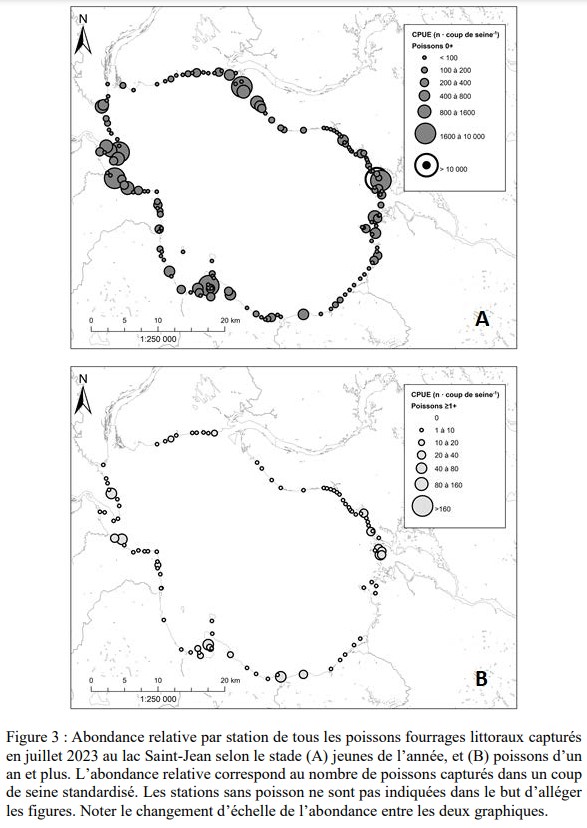 Abondance des poissons fourrages littoraux du lac Saint-Jean | CREAE - UQAC